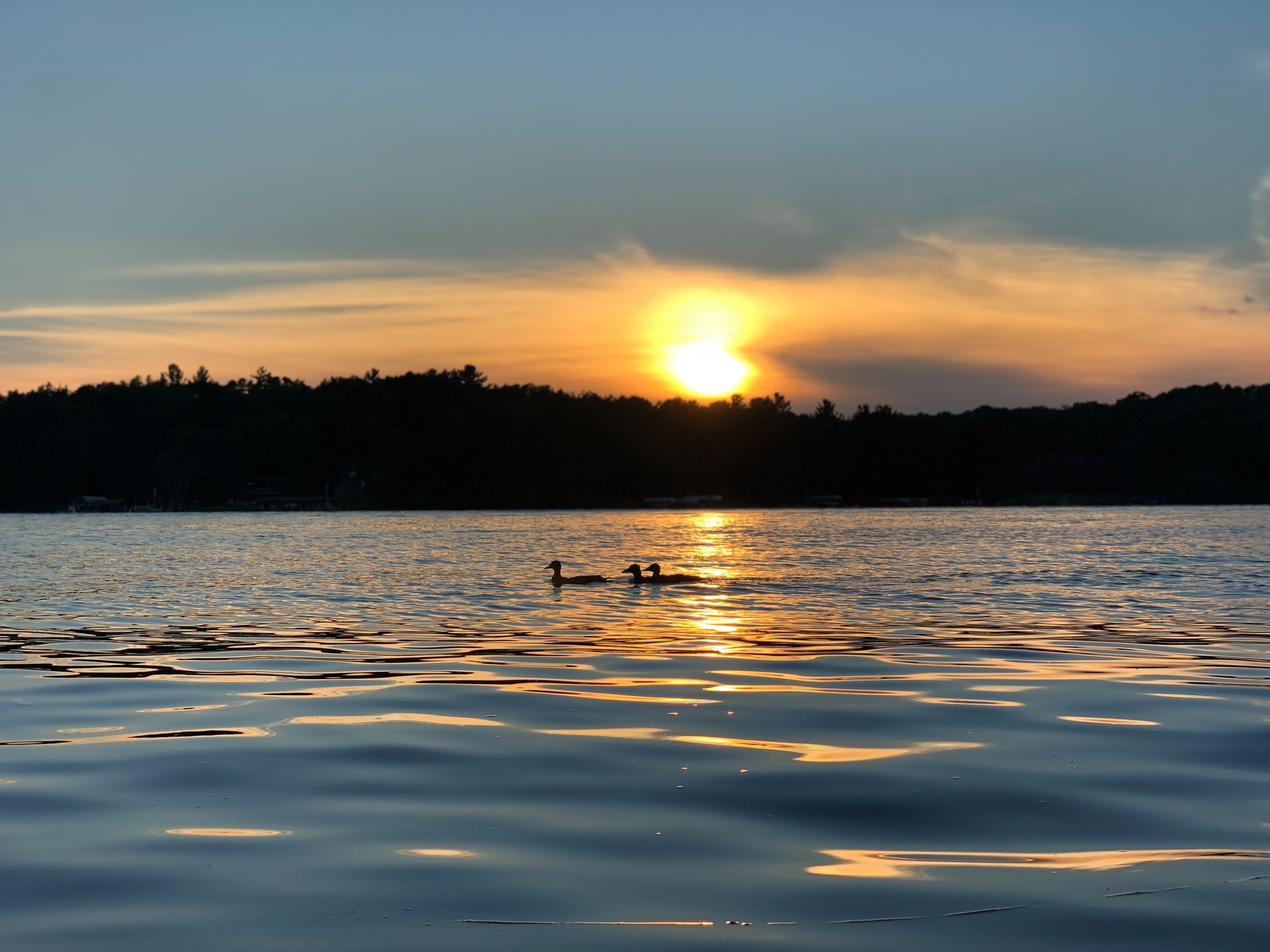 The Ultimate Guide to Summer in Gull Lake - Gull Lake Beach Resorts